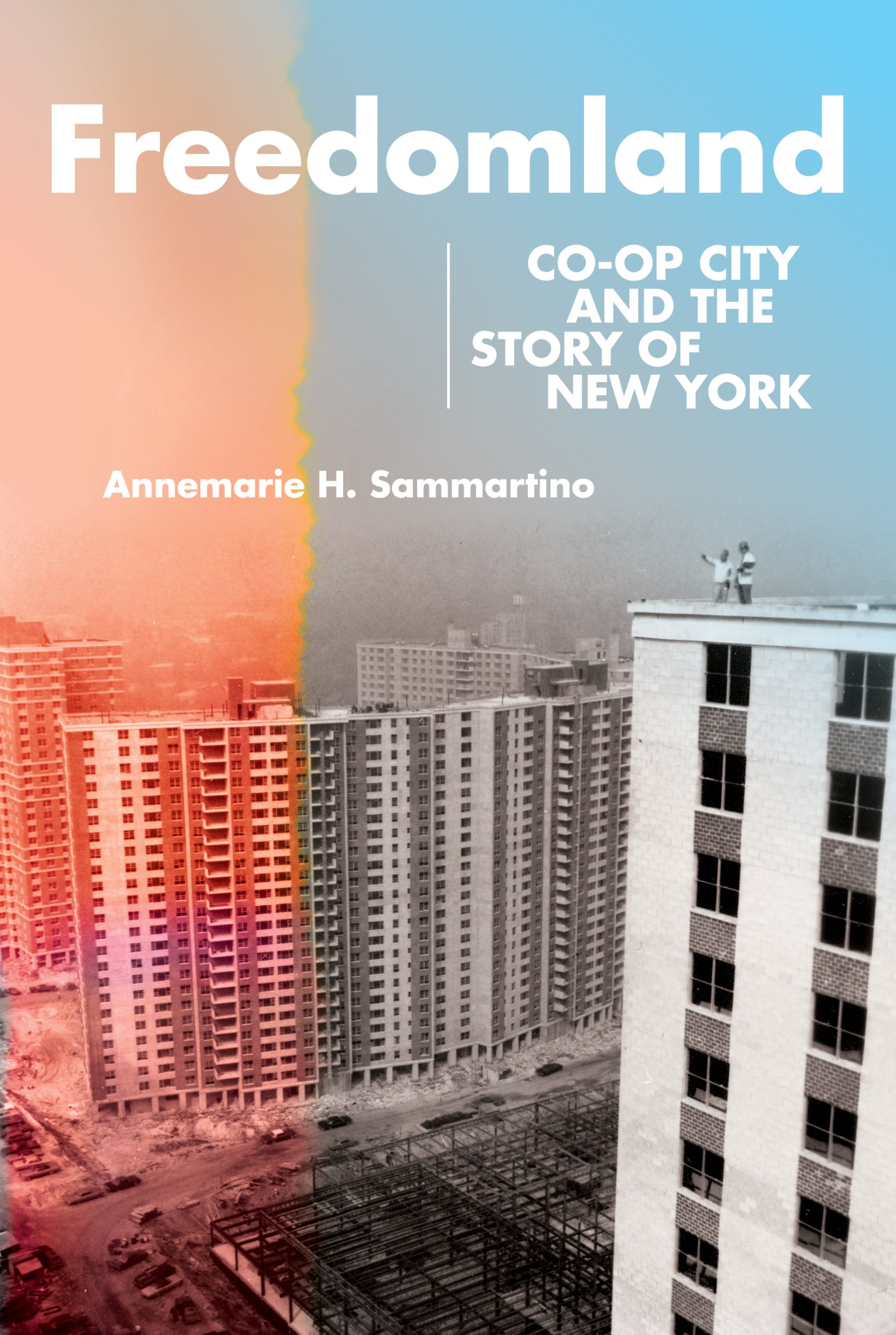 The Making of Co-op City, the Nation’s Biggest Housing Co-op ...